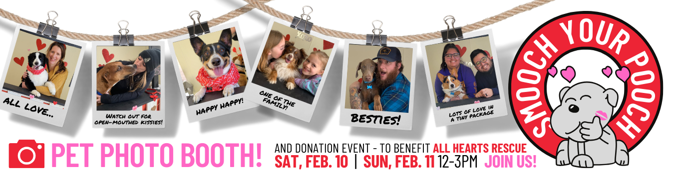 Dee-O-Gee Kalispell | Home