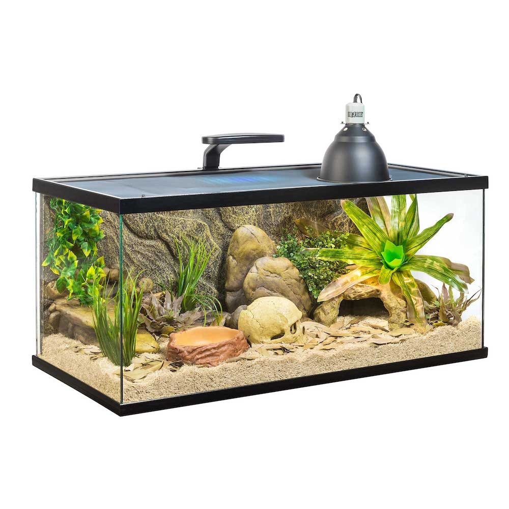 Exo Terra Large Snake Starter Kit | B&B Pet Stop, Inc.