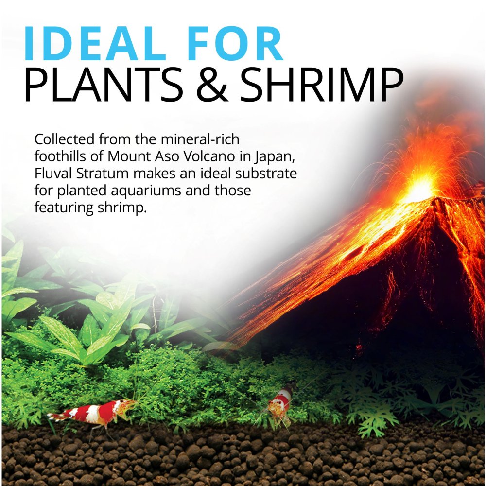 Fluval Plant & Shrimp Stratum Plant Care, 17.6-lb | B&B Pet Stop, Inc.