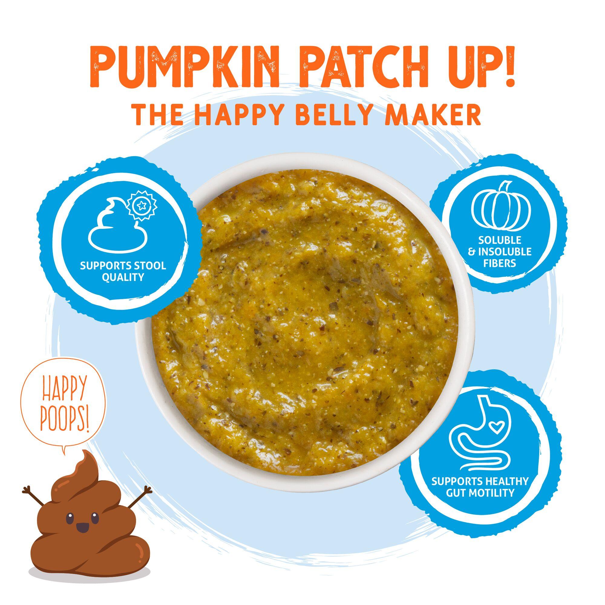 Pumpkin Patch Up Pumpkin with Coconut Oil & Flaxseeds Dog & Cat ...