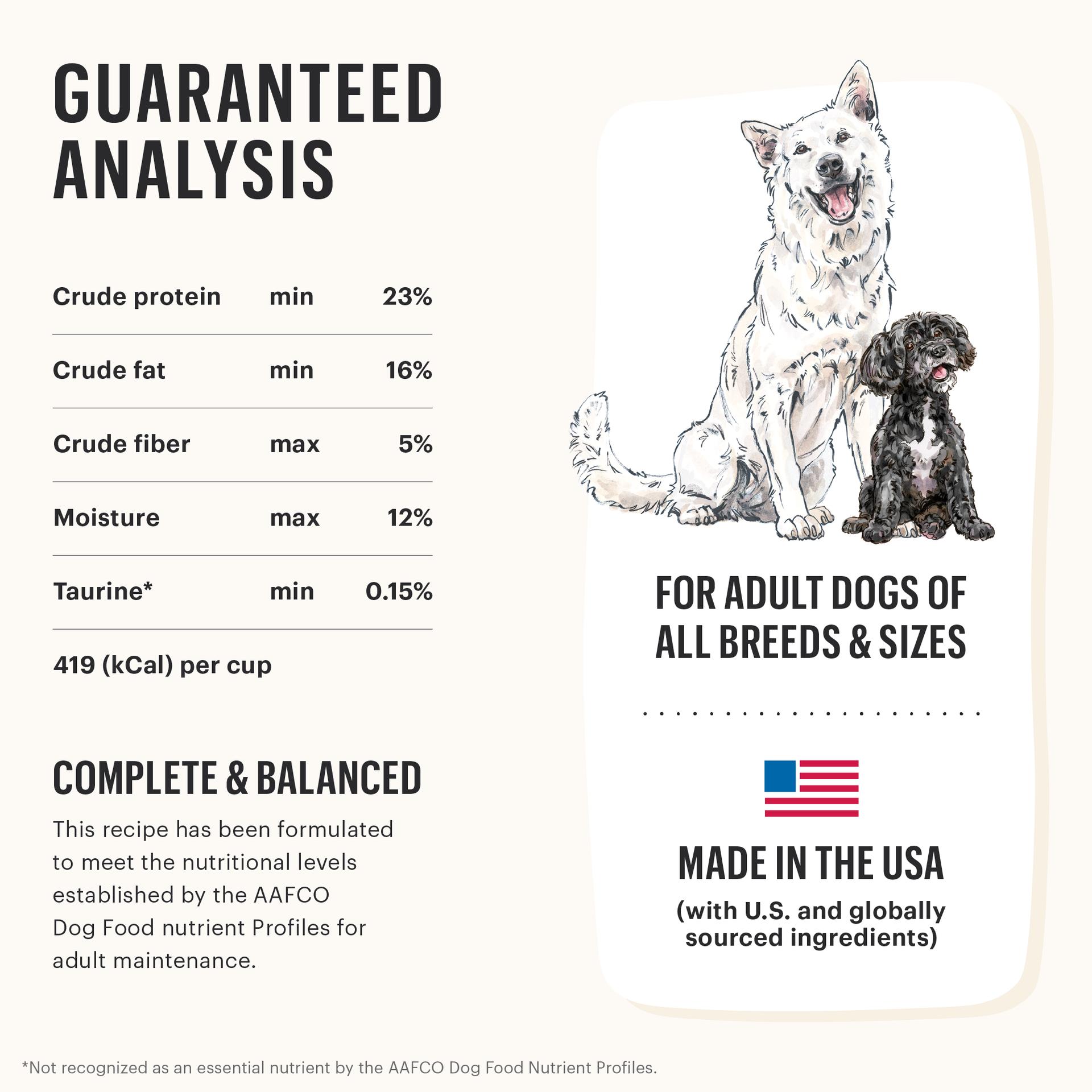 The Honest Kitchen Whole Food Clusters Beef & Oat Dry Dog Food, 1-lb ...