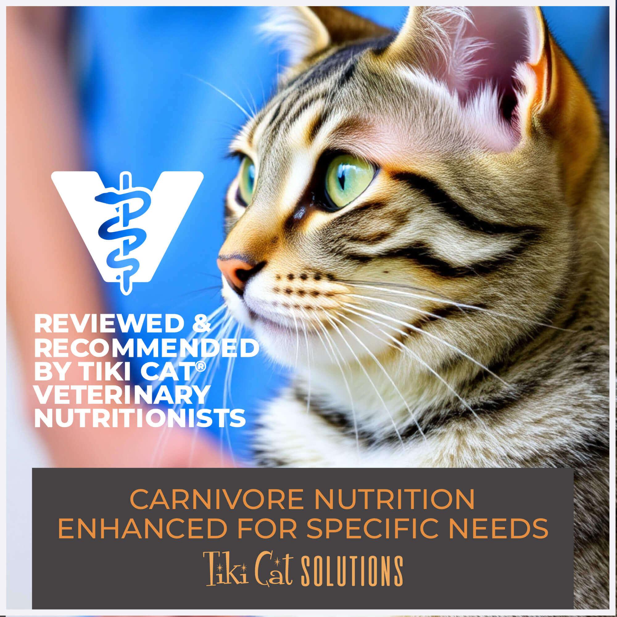 Tiki Cat Solutions Liquid Meal Replacer Tuna in Goat's Milk Wet Cat ...