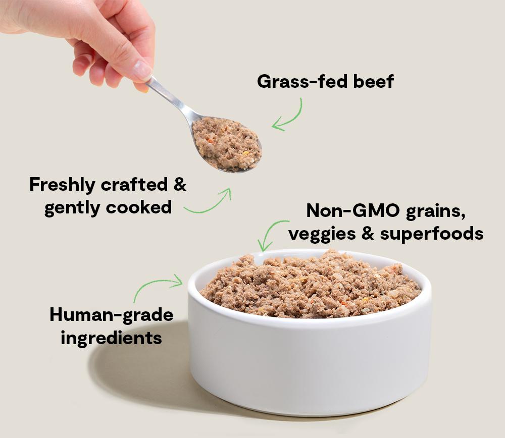 Open Farm Goodbowl Gently Cooked Grass-Fed Beef with Wholesome Grains ...
