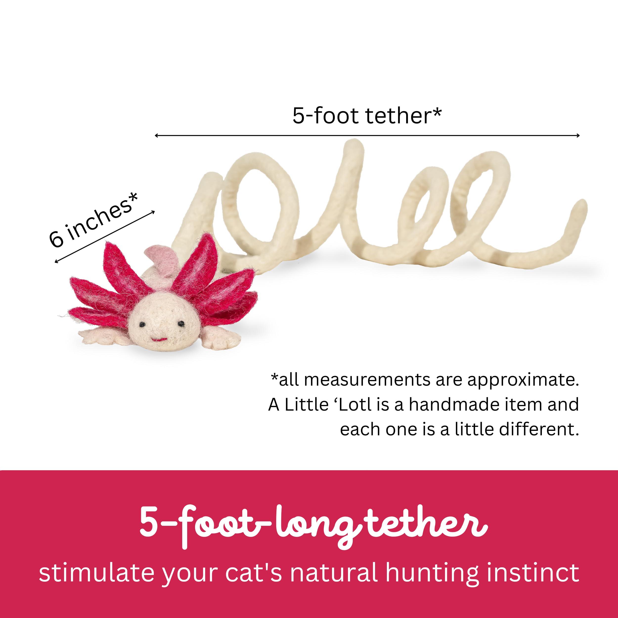 Cat in the Box A Little 'Lotl Axolotl Wool Cat Toy, 5-ft | The Big Bad Woof