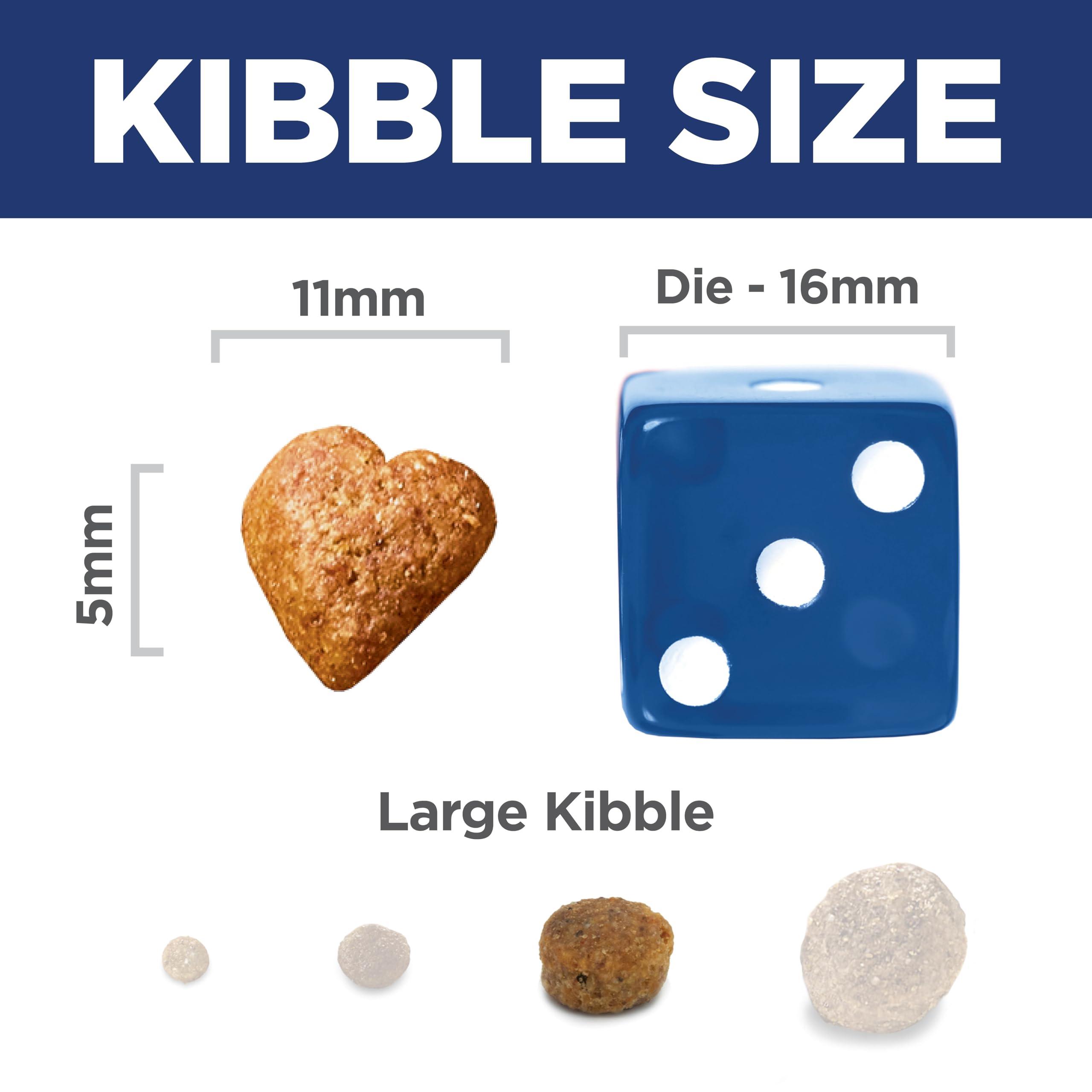 Hill's Science Diet Adult Perfect Weight Dry Dog Food, 4-lb | Pet Mama