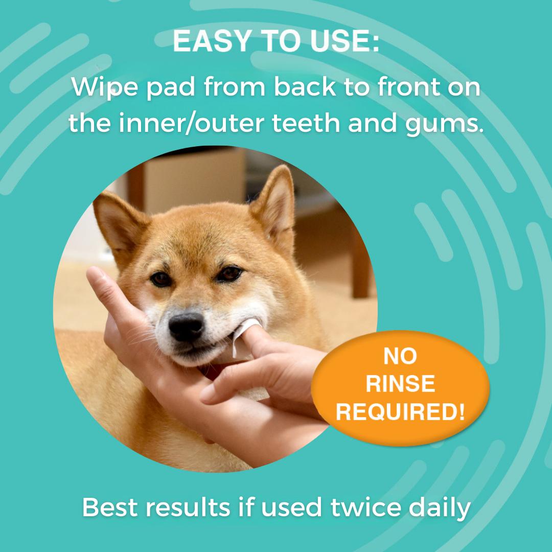 Nootie Medicated Dental Wipes for Dogs, 60-count | NorthPoint Pets
