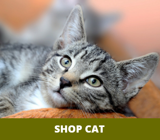 Shop Now | Sam's Cats & Dogs, Naturally